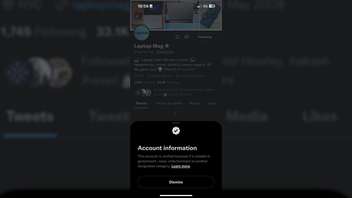 How to spot who is actually verified on Twitter, and who just paid for ...