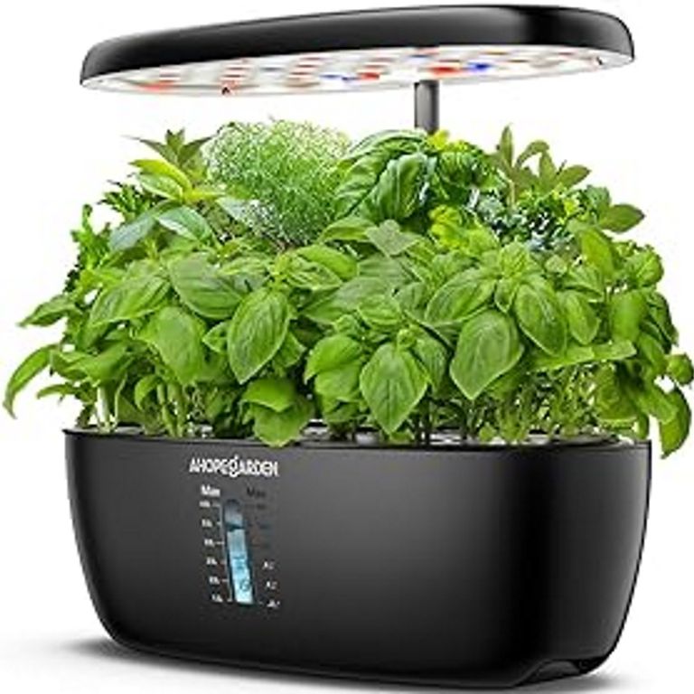 Best unusual herbs: 9 herbs to grow for interesting flavor | Homes and ...