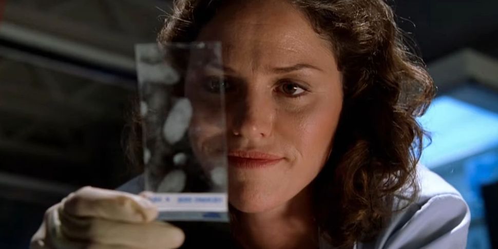 CSI: Vegas: 8 Quick Things We Know About The CSI Reveal | Cinemablend