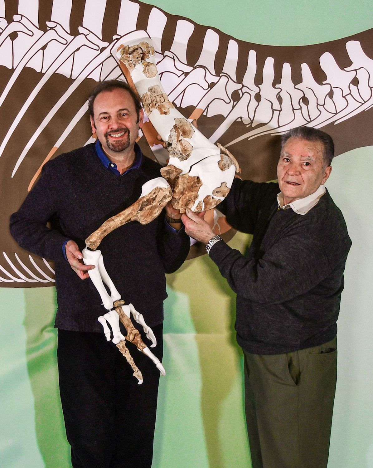 Photos: Carnivorous Dinosaur Discovered in Italian Alps | Live Science