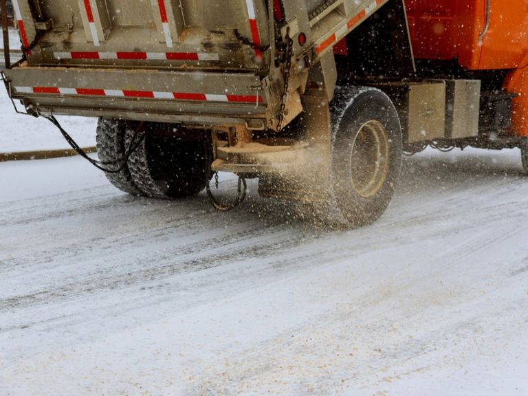 Effects Of Road Salt On Plants - How To Protect Plants From Salt Damage ...