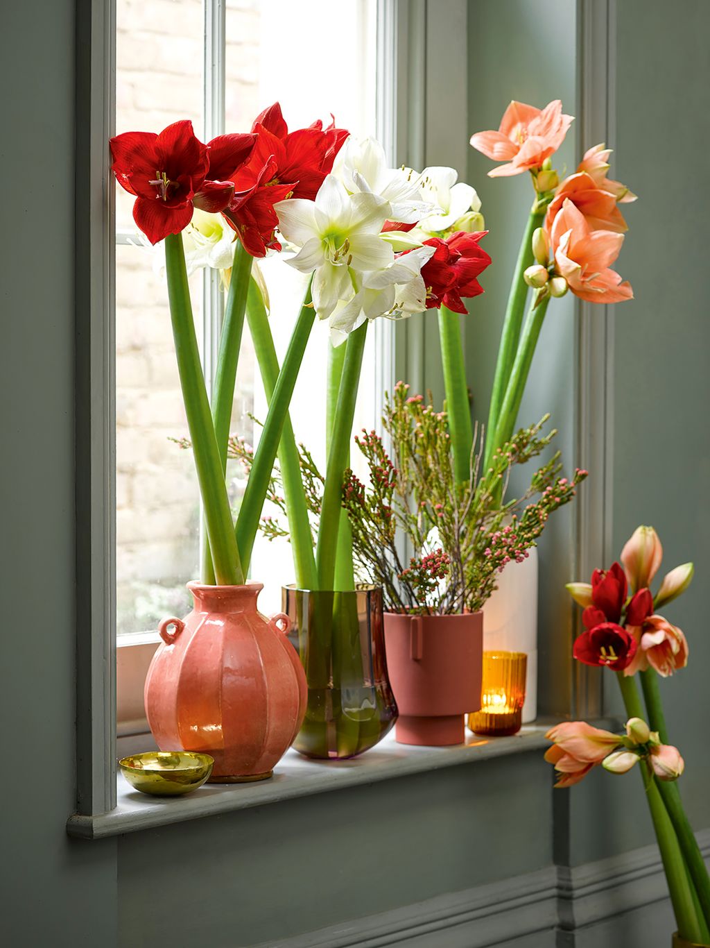 How to force bulbs indoors for Christmas | Homes and Gardens