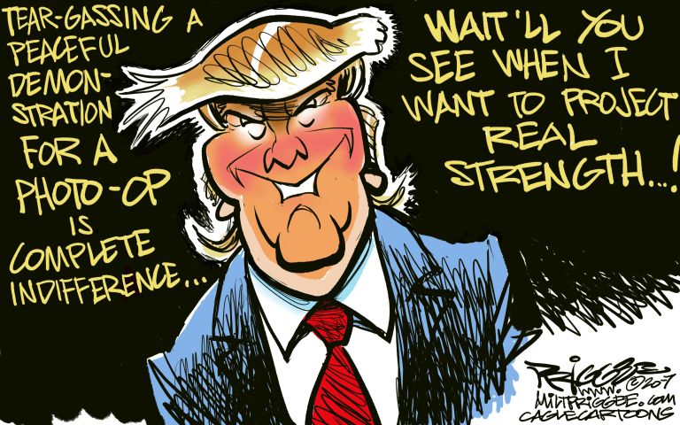 5 scathing cartoons about Trump's battle with protesters | The Week
