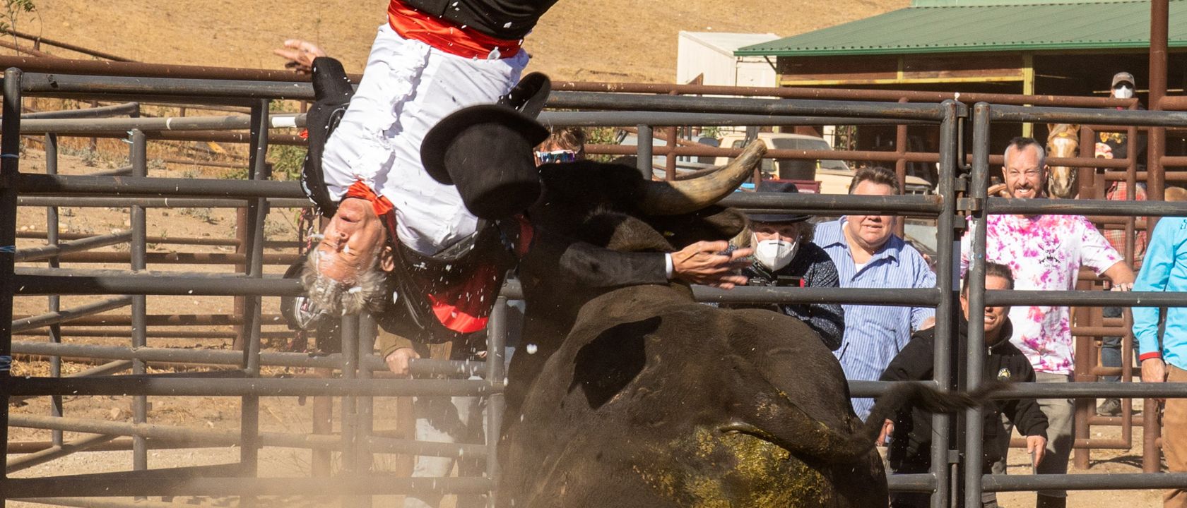 Jackass Forever Review: Extreme Crotch Pain Meets Surprising Nostalgia ...