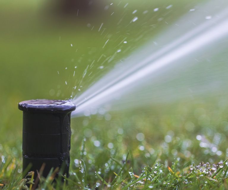 Which lawn sprinkler layout is best? Lawn pros have their say | Homes ...