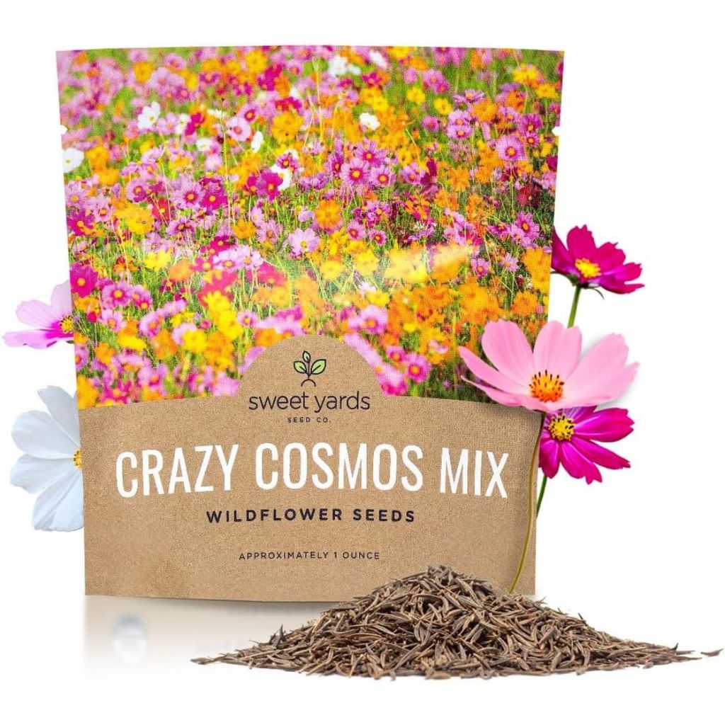 How to Grow Cosmos — Planting Tips to Help Flowers Thrive | Livingetc