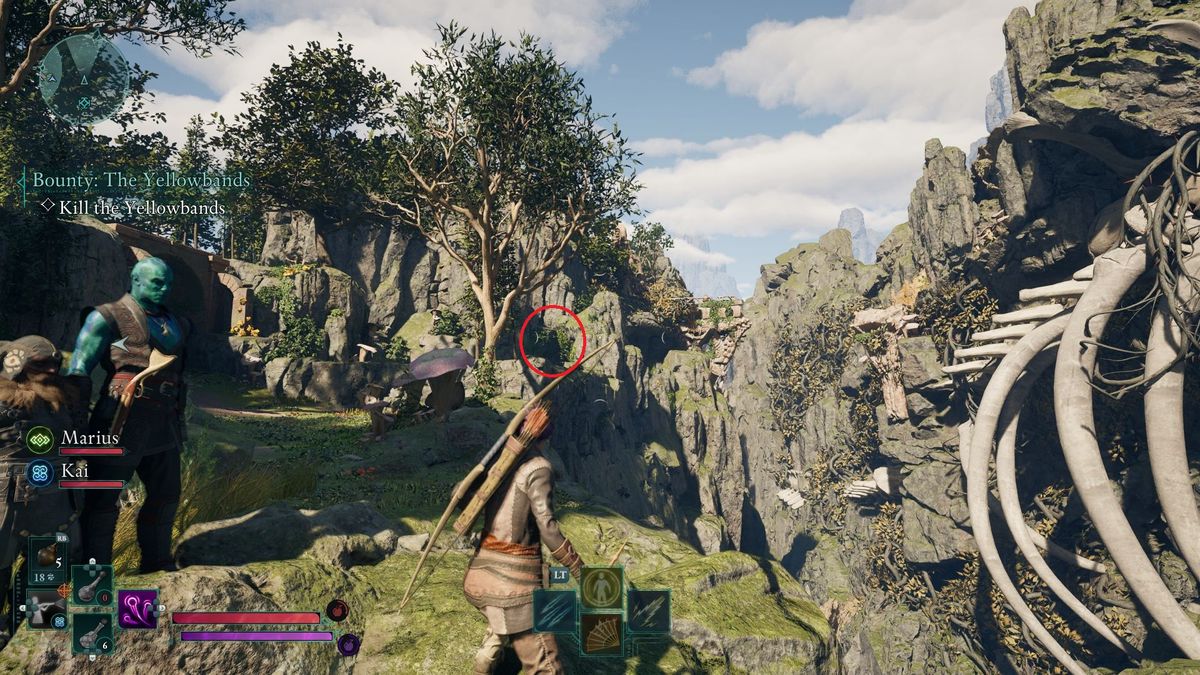 Avowed Treasure Map Guide find Practical Pockets and more | Windows Central