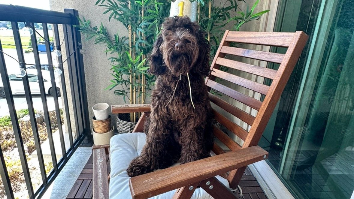 Shruti Shekar's Top 10 of 2023 | Android Central