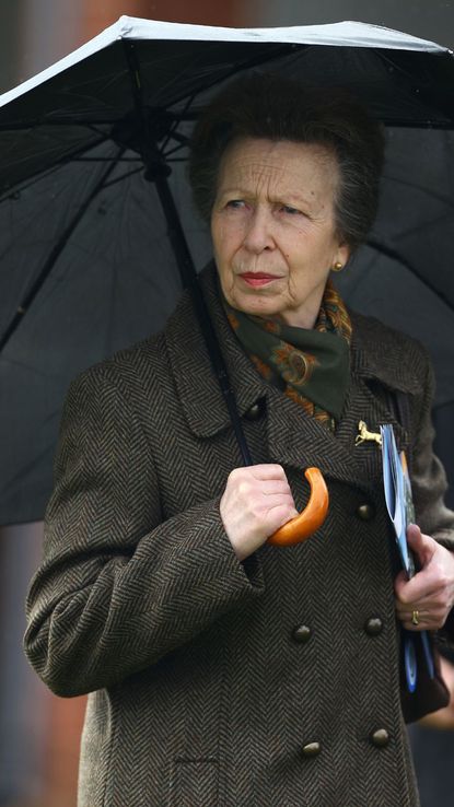 Princess Anne rewears accessory with special link to Queen | Woman & Home