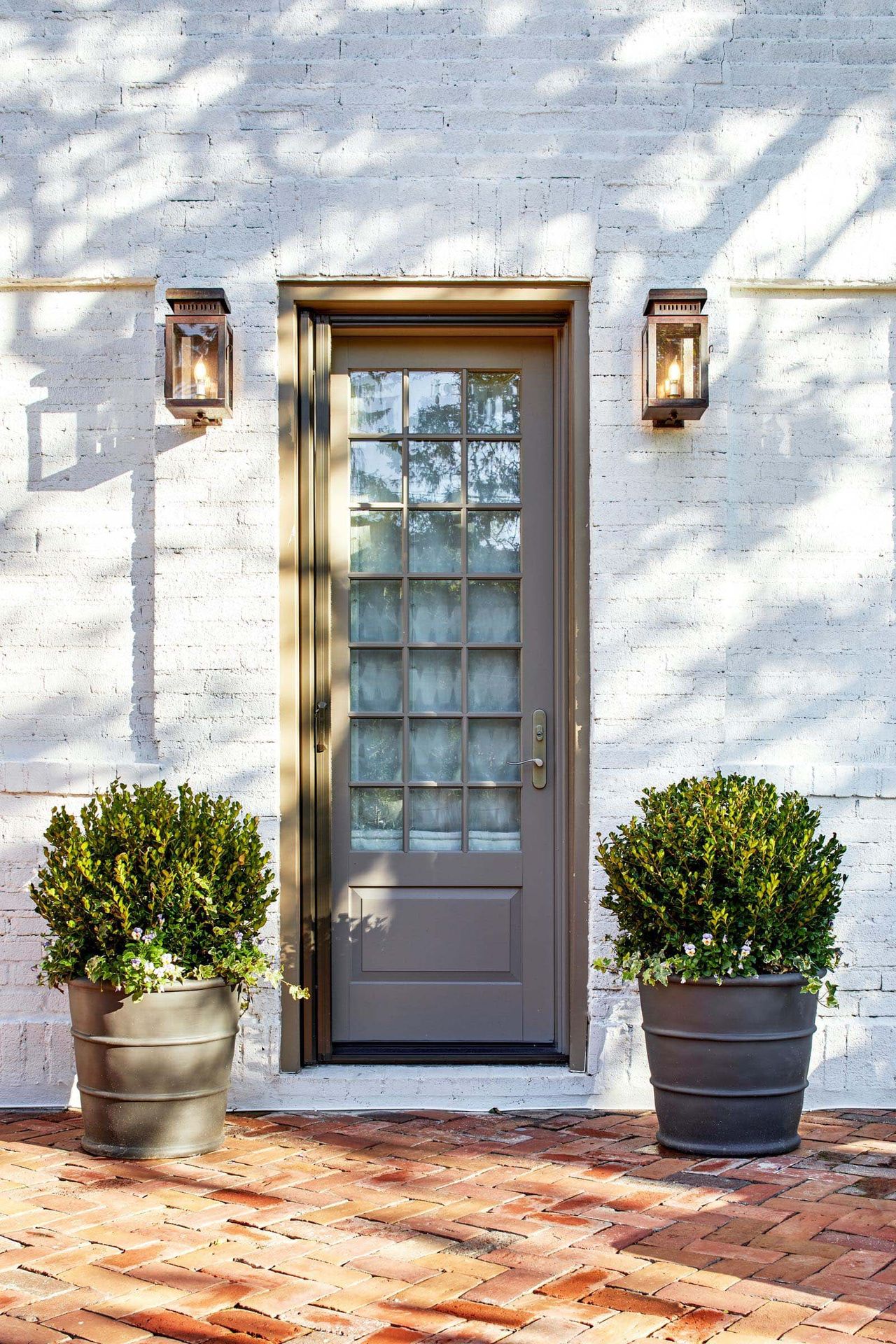 7 front door plants that make your home look more welcoming | Livingetc