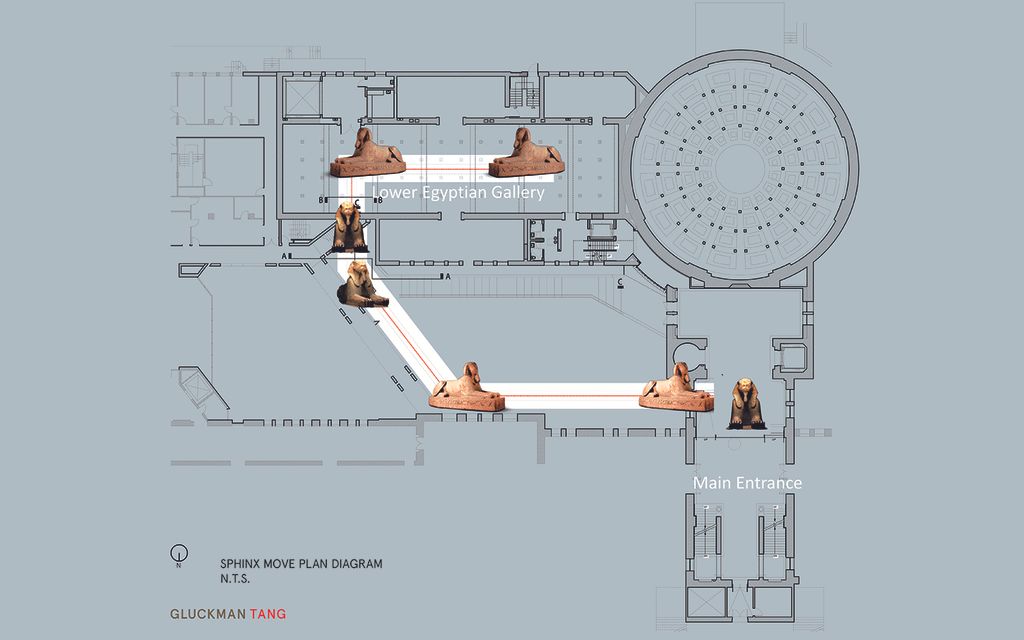 Massive Sphinx of Ramses II Sees Daylight for First Time in Nearly 100 ...