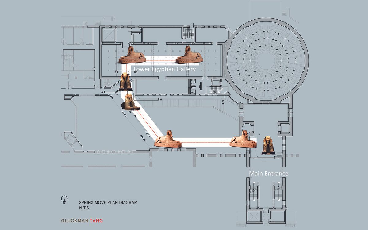 Massive Sphinx of Ramses II Sees Daylight for First Time in Nearly 100 ...