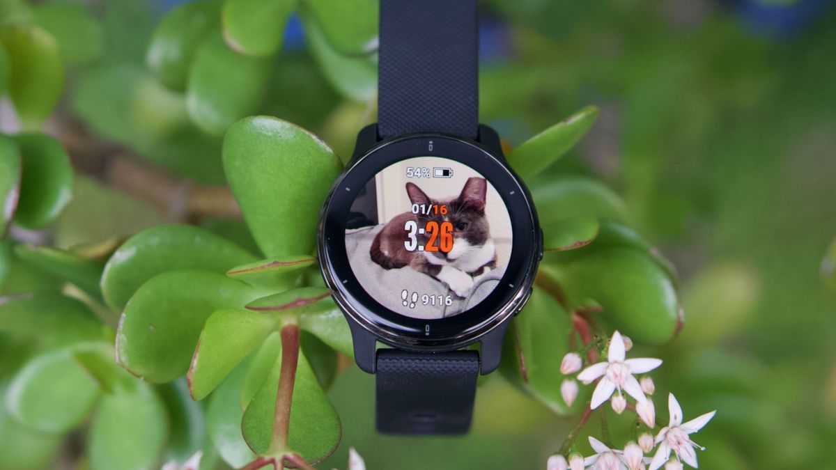 How to change your Garmin watch face | Android Central