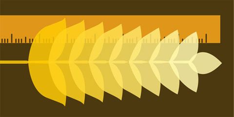 Stunning illustrations bring development issues to life | Creative Bloq