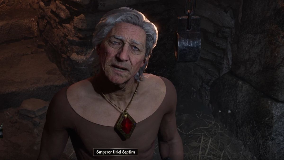 Oblivion Remastered streamer gets every single NPC in the game high on ...