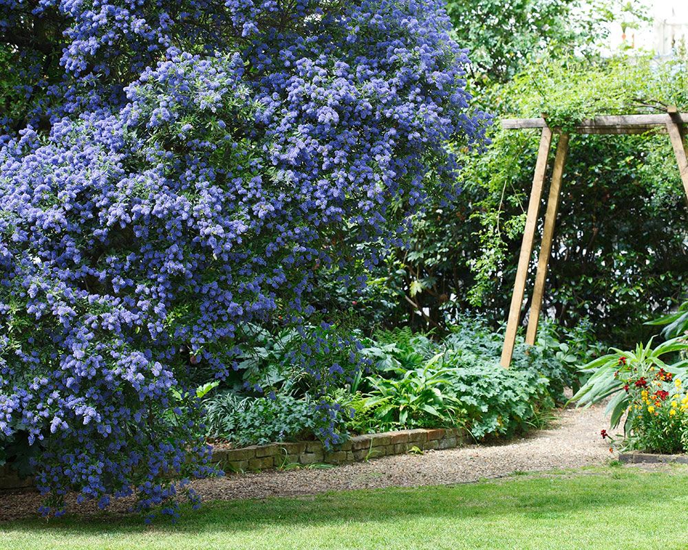 How to create an Instagram garden –Instagram garden ideas | Homes and ...