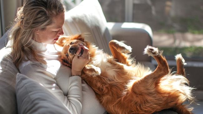 32 common dog behavior problems and solutions | PetsRadar