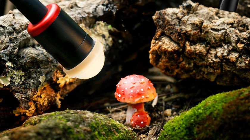 No tripod? No problem – here's how you capture high-quality handheld ...