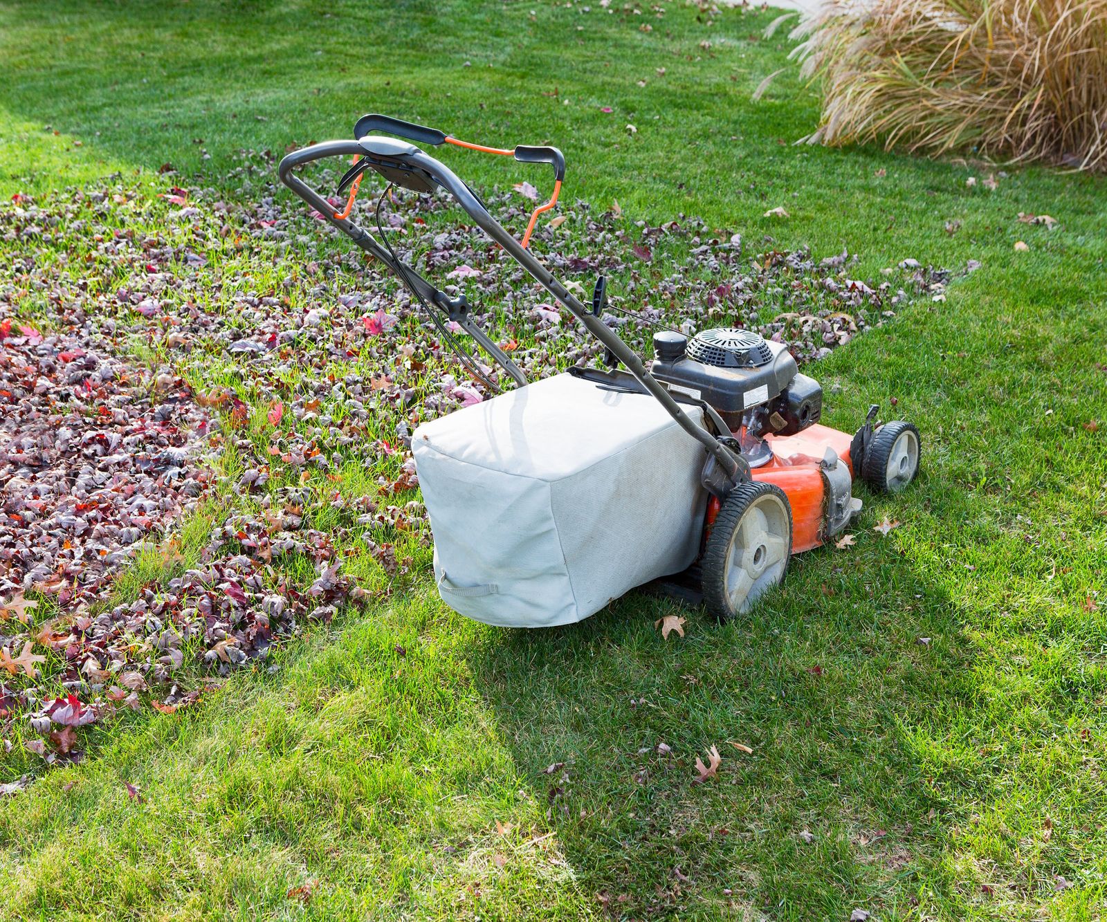 Expert tips for how to winterize a lawn mower correctly | Homes and Gardens