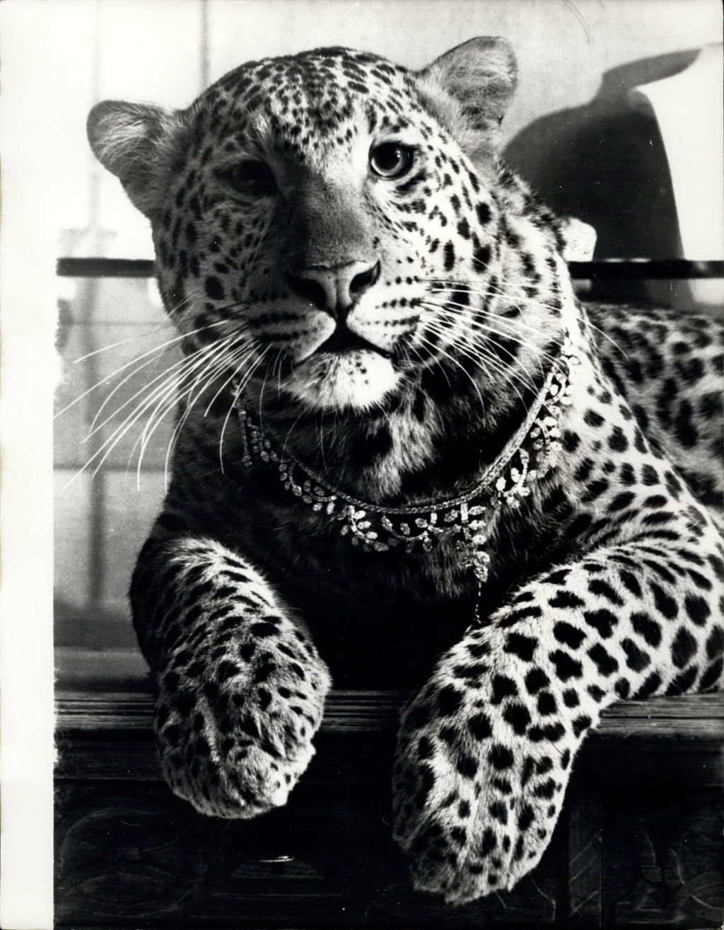 How Cartier became ‘the jeweller of kings and the king of jewellers ...