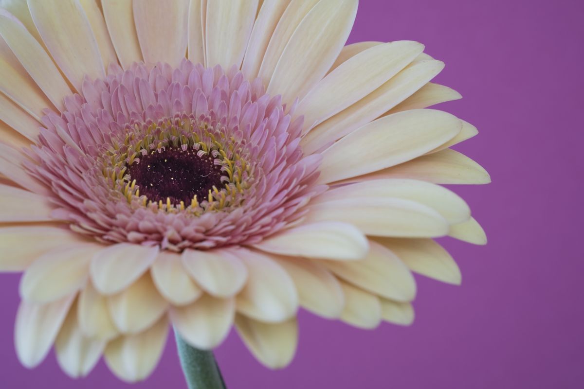 10 surefire ways to get your sharpest-ever photos | TechRadar