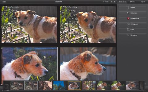 iPhoto: the ultimate guide for Mac and iPad | TechRadar