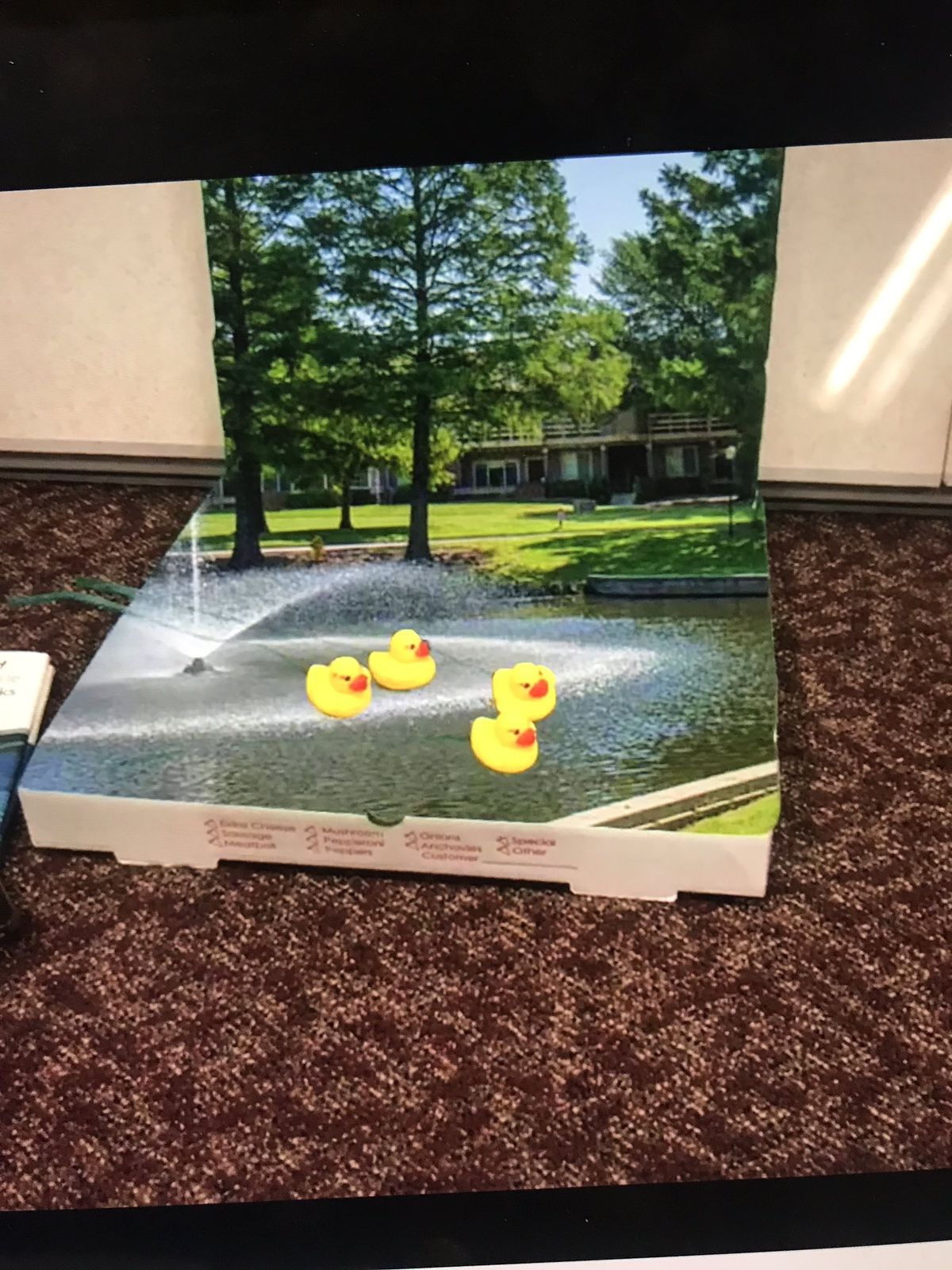 Using Green Screens in Lower School | Tech & Learning