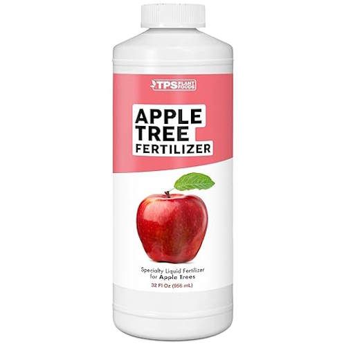 Expert tips for how and when to fertilize apple trees | Homes and Gardens