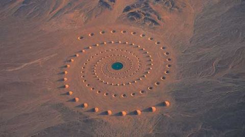 10 astonishing sculptures that blend perfectly with nature | Creative Bloq