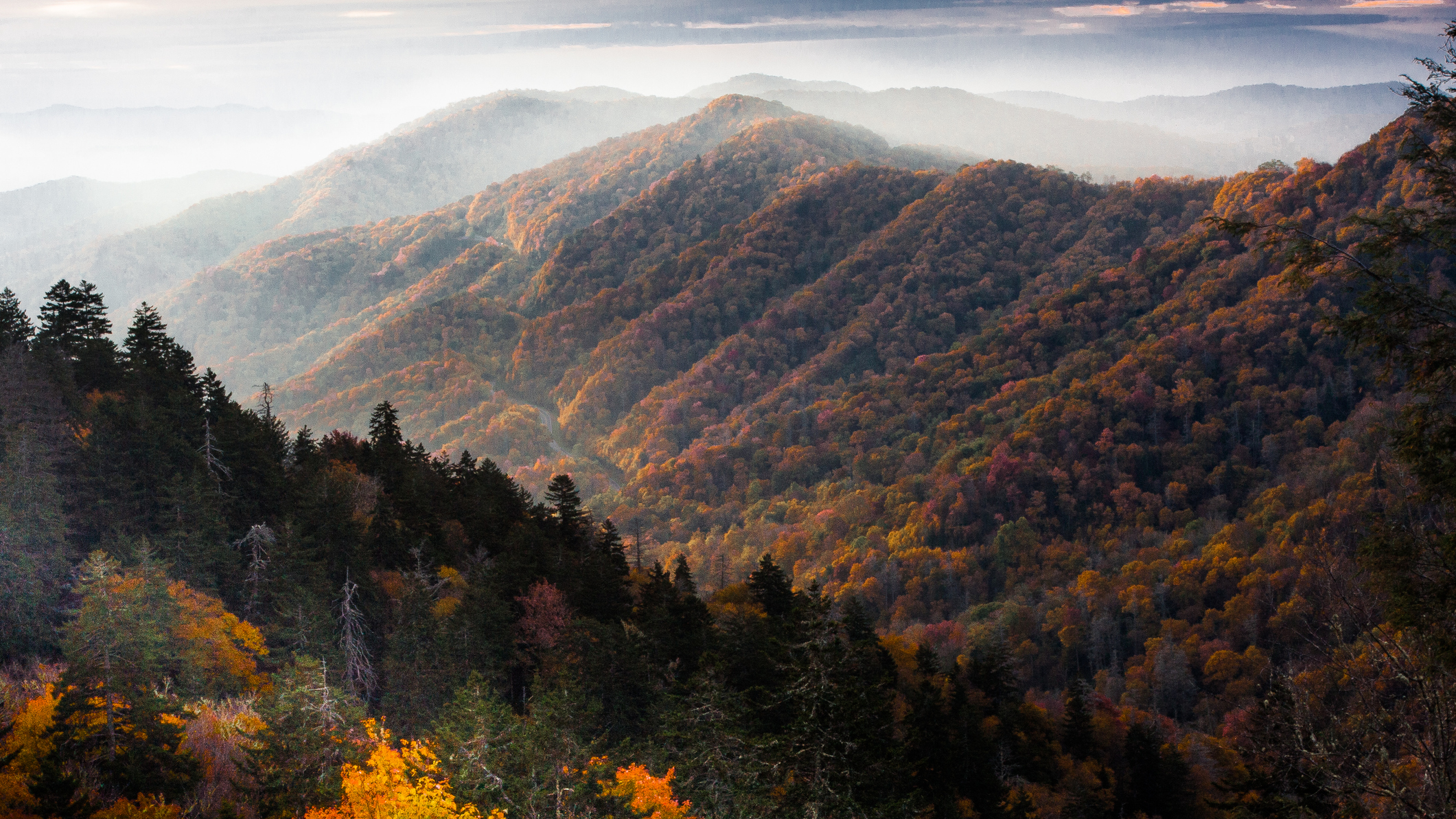 America's national parks welcomed a record-breaking number of visitors ...