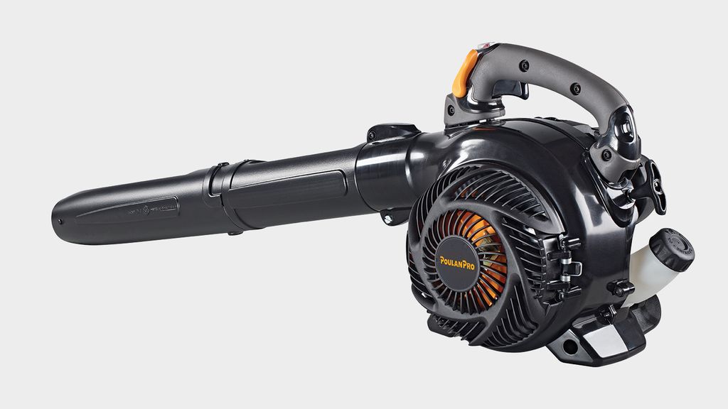 Best leaf blowers 2022 | Top Ten Reviews