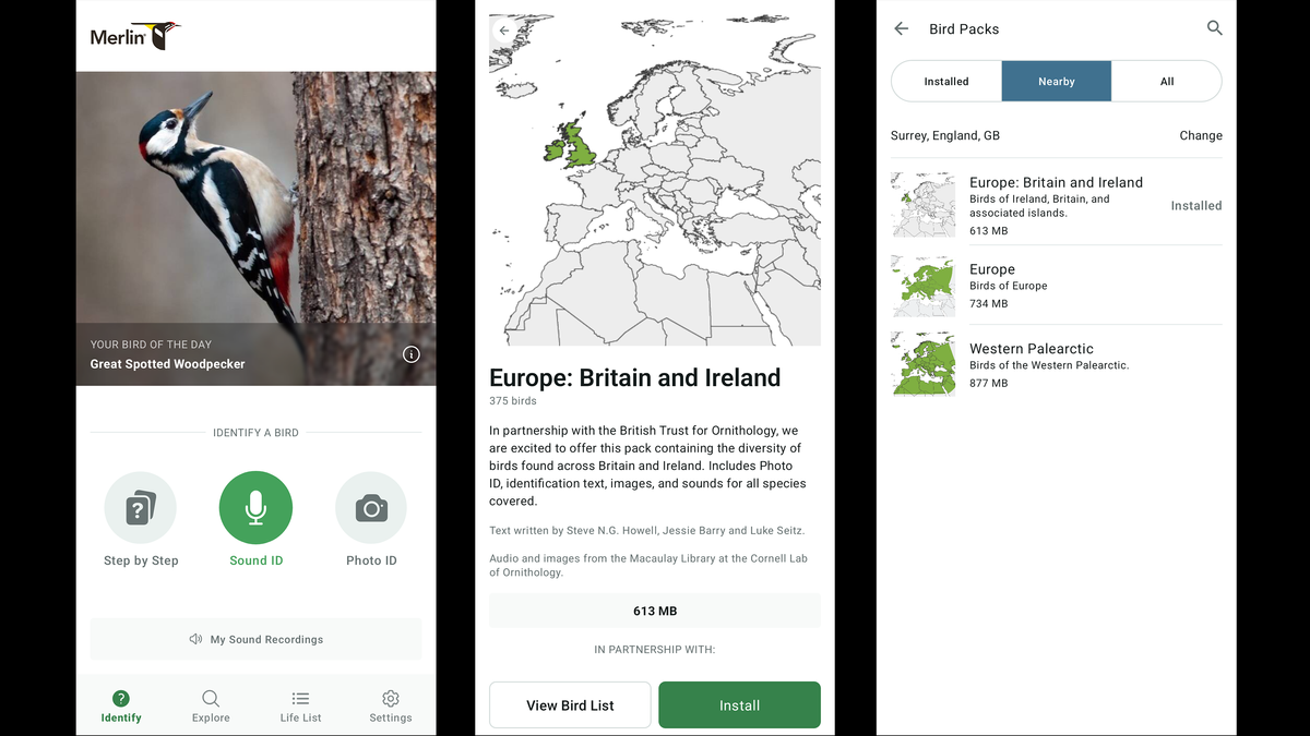 The free Merlin app can record and identify thousands of bird calls ...