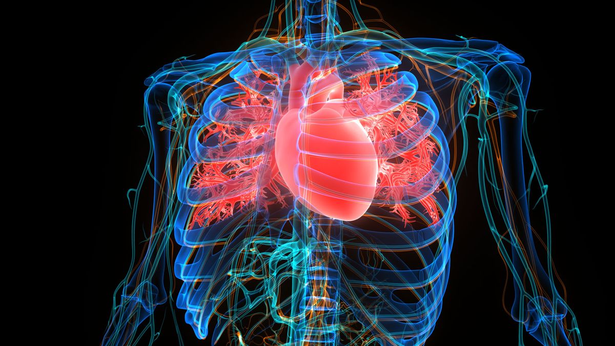 Atrial fibrillation and arrhythmia: Causes, symptoms and treatment ...