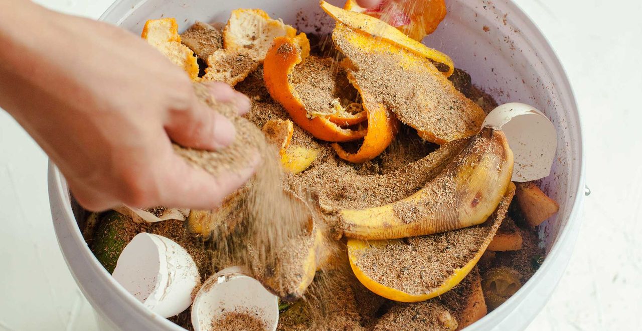 How to use orange peel in your garden: 5 ways to reuse skins | Woman & Home