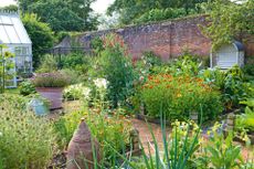 How to plan a dry garden: Ideas for landscaping and plants | Homes ...