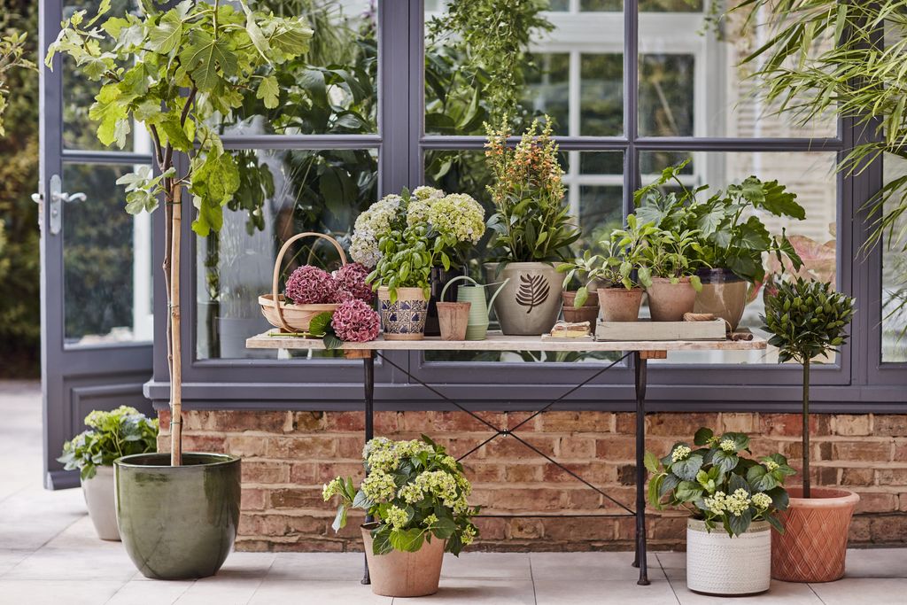 Accessible garden design: 15 ideas for landscaping, paths, planting and ...