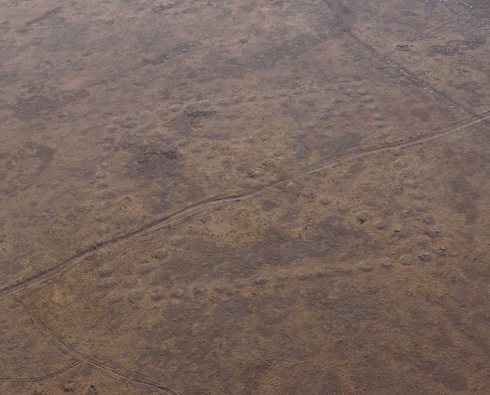 In Photos: Google Earth Reveals Sprawling Geoglyphs in Kazakhstan ...