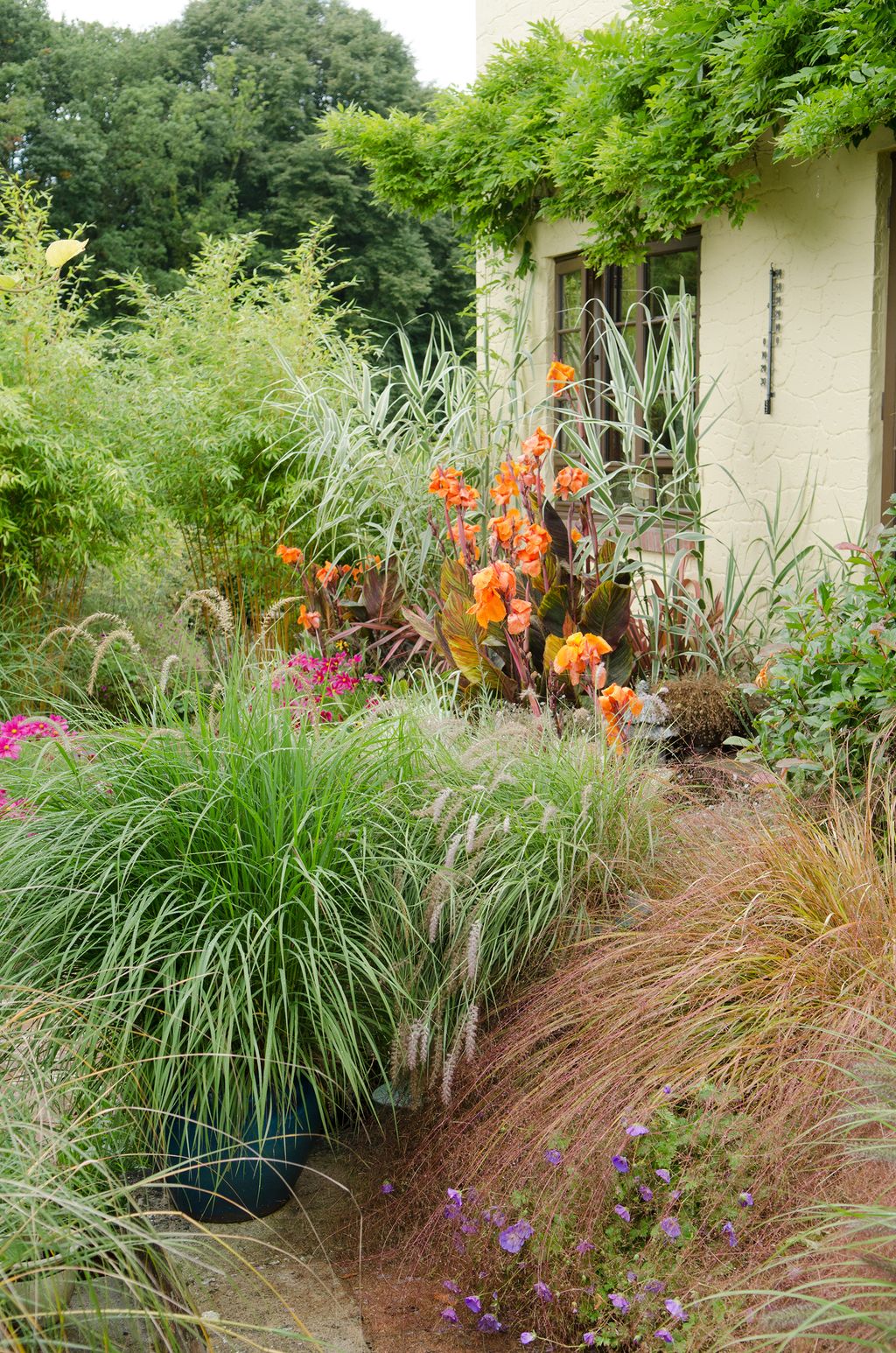 5 ways this sloping garden has year round interest | Homes and Gardens