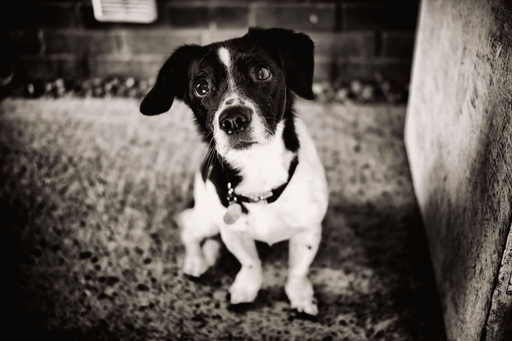 What is dodging and burning? | Digital Camera World