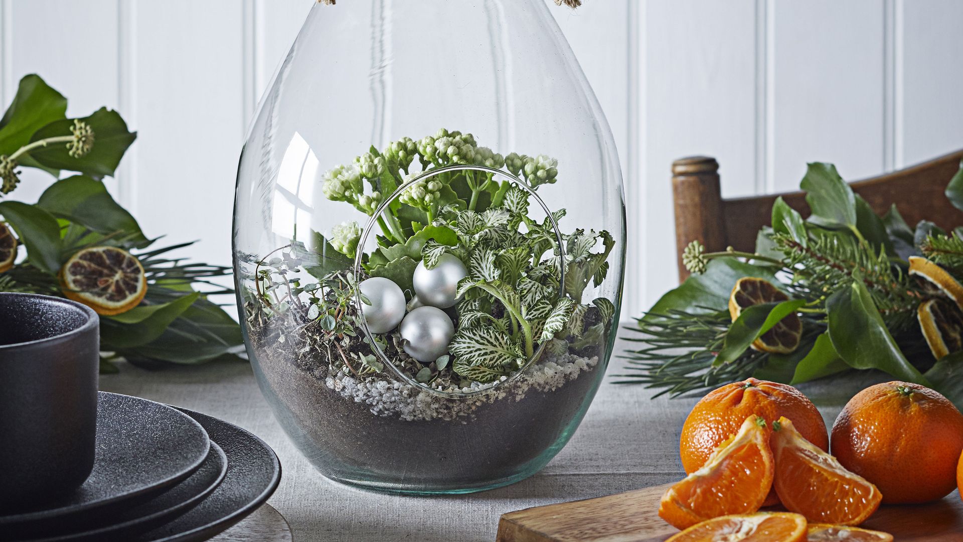 The Christmas terrarium trend is a must-try for plant lovers | Gardeningetc