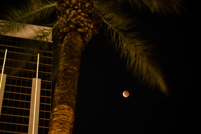 Amazing Photos of the Super Blood Wolf Moon of 2019! | Space