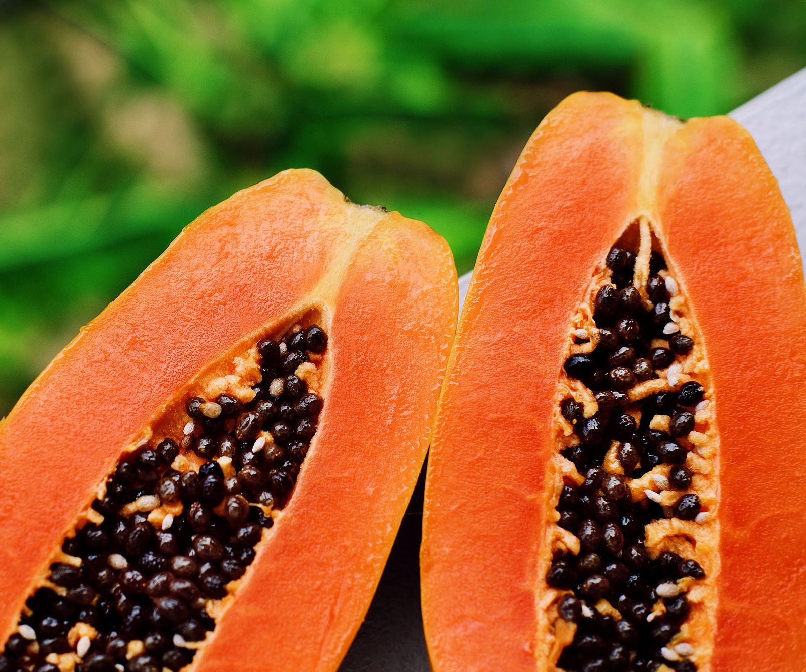 Grow More Fruit Inside: 10 Best Fruit Trees To Grow Indoors | Gardening ...