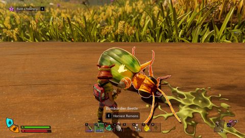 How to get bombardier parts and boiling glands in Grounded 2 | PC Gamer