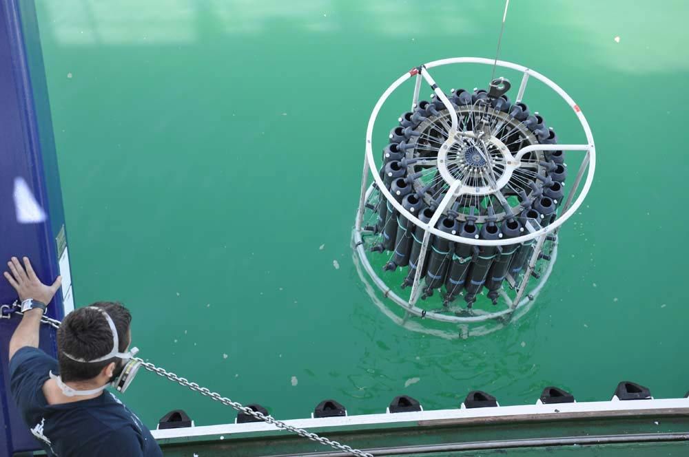 Underwater Eruption Strews Ocean Surface with Dead Fish | Live Science