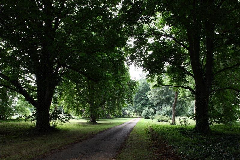 Burfield Hall: An ideally-sized house and land in Norfolk at the price ...