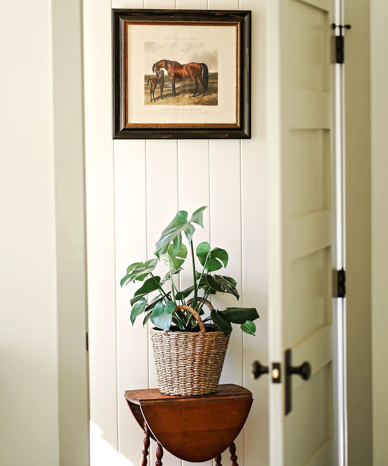 When to repot a monstera: experts offer their top tips | Homes and Gardens