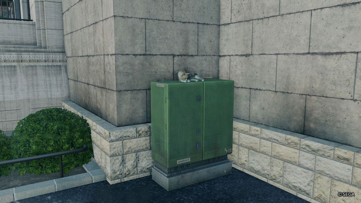 How to find all the Yakuza Like a Dragon missing cats | GamesRadar+
