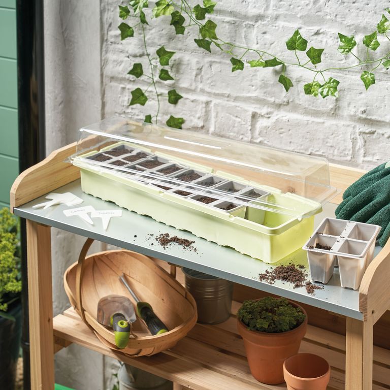 Aldi's £3 windowsill greenhouse is ideal for small spaces | Ideal Home