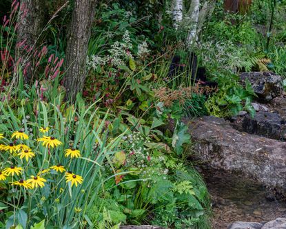 The wild garden trend is going to be everywhere this summer | Homes and ...