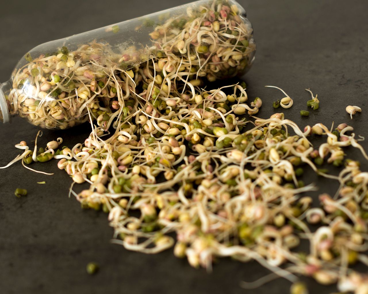 How to grow bean sprouts: simple tips for growing them at home ...